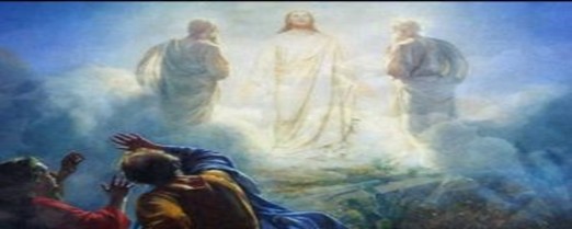 Transfiguration of our Lord Sunday – West County Lutheran Church